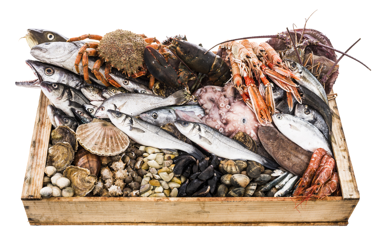 Fishbox – Fishbox website