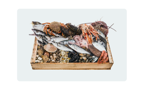 Fishbox – Fishbox website